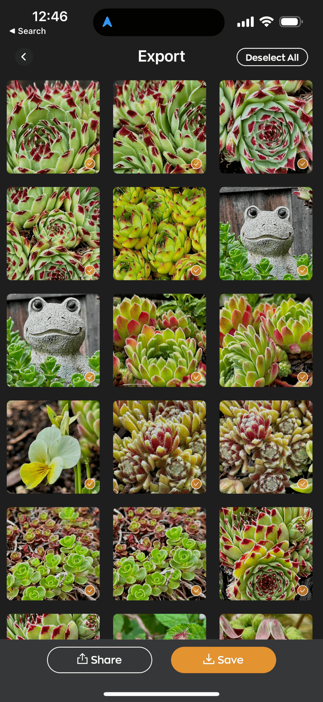 Radiant for iOS and Android - Radiant Imaging Labs