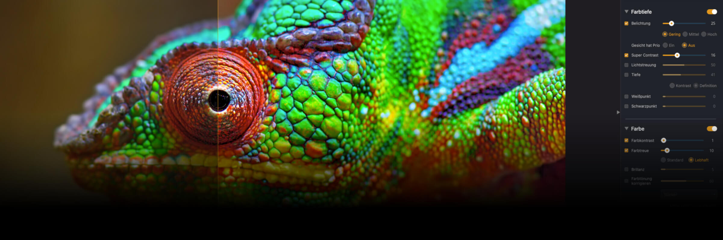 Radiant Photo - Macro photography - Radiant Imaging Labs